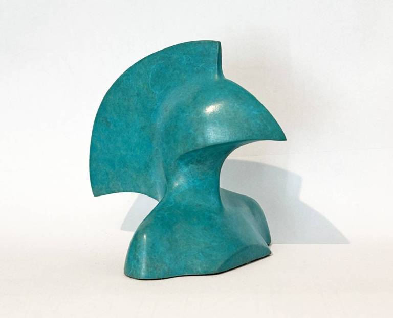 Stephen Page - Pinkfoot Gallery